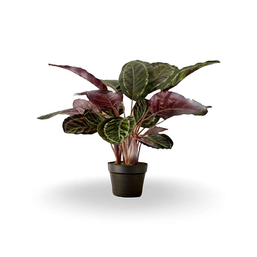 PLANTA ARTIFICIAL CALATHEA EN MACETA
